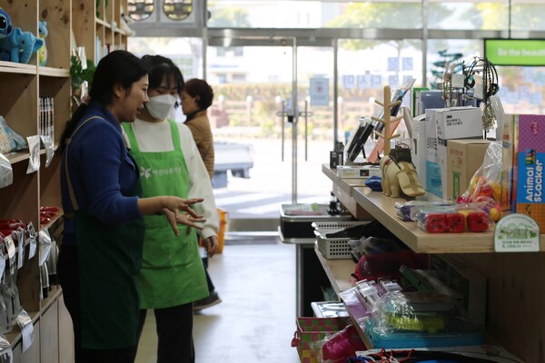 따뜻함이 '나다움'을 잃지 않게 한다면 - Kollo